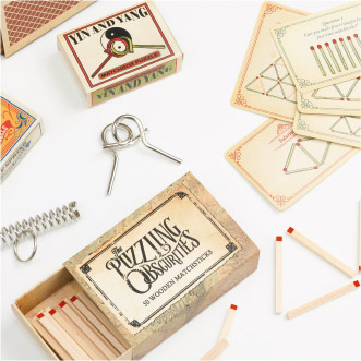 Metal & Wooden Puzzles | Professor Puzzle