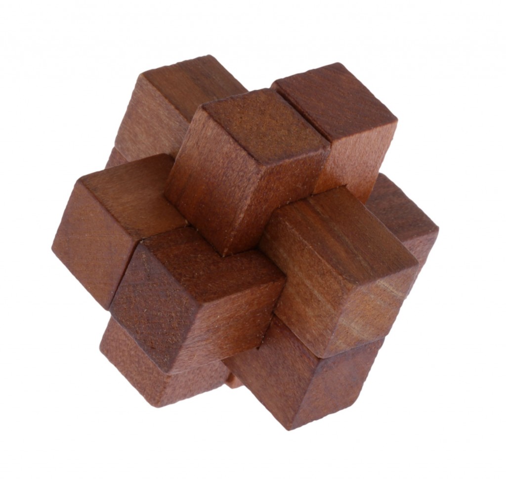 Great Minds Men's Set of 5 Puzzles | Professor Puzzle