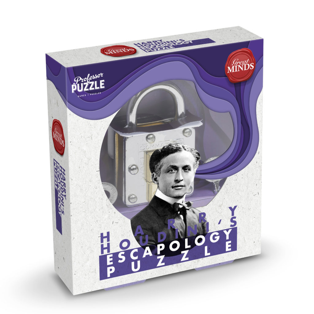 Great Minds Mini Metal Puzzles Display (18) | Professor Puzzle